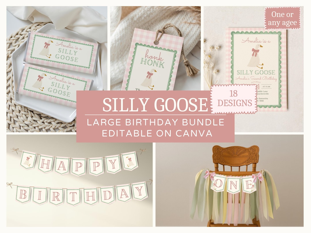 Silly Goose Bundle | One Silly Goose Party Decor | Girl Birthday ...