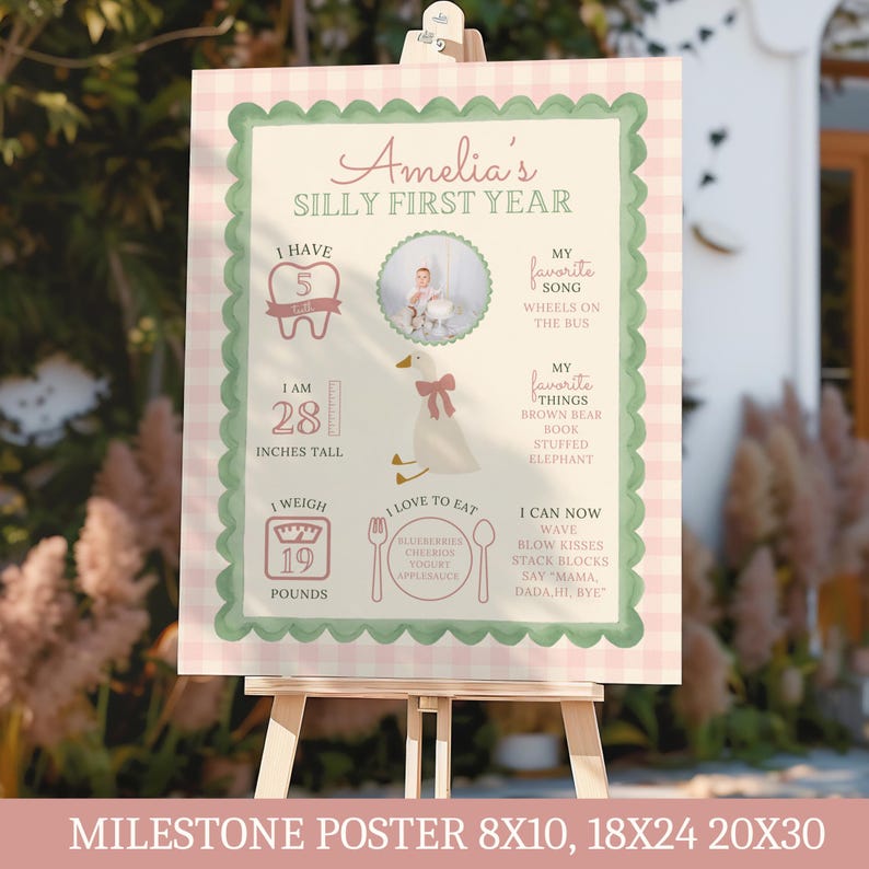 Silly Goose Bundle | One Silly Goose Party Decor | Girl Birthday ...