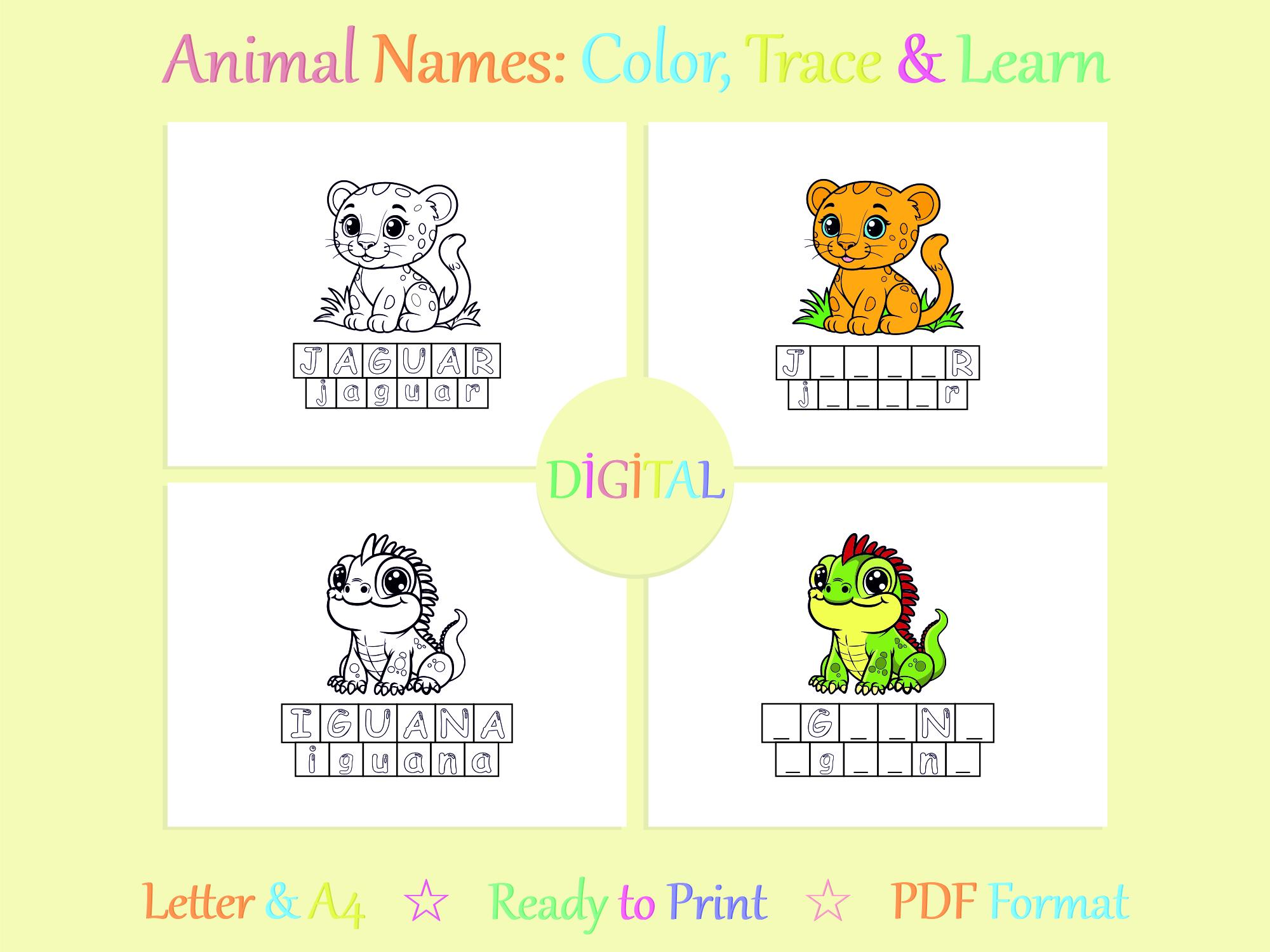 Alphabet & Animals Coloring Pages – Educational PDF - Etsy
