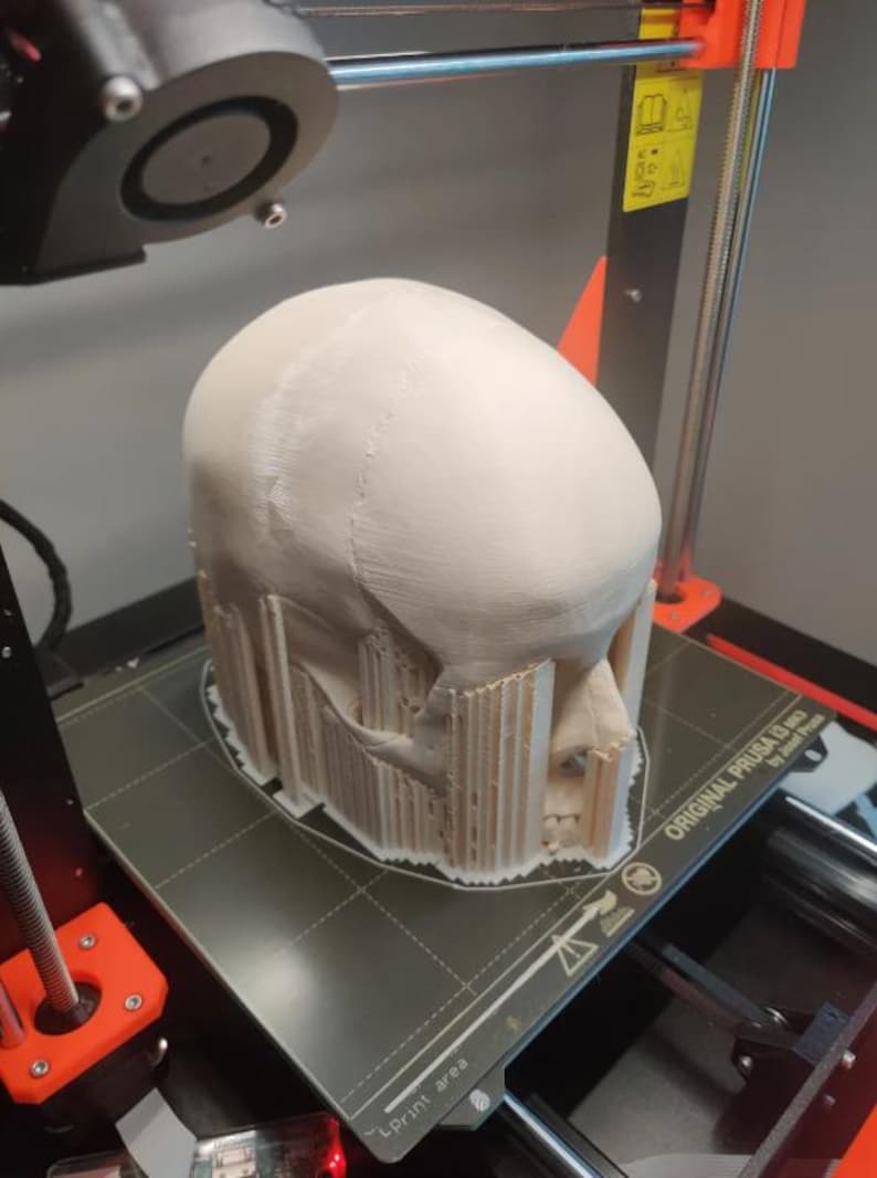 Anatomically Accurate Human Skull | Realistic 3D Printable Model for ...