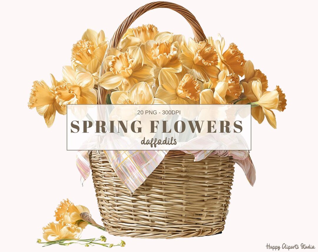 Spring Daffodils Clipart, Pastel Floral Illustrations, Elegant Spring ...