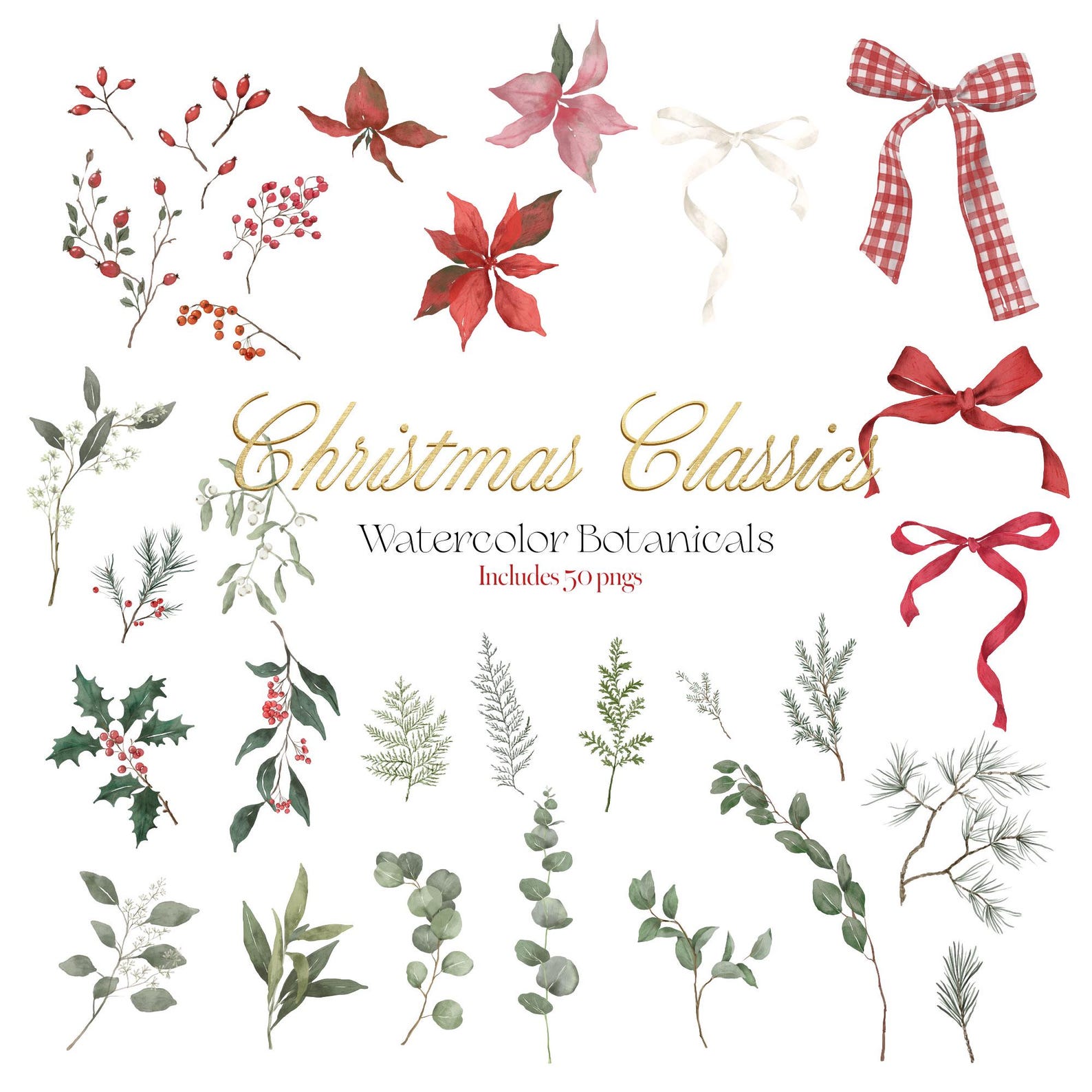 Christmas Clipart/christmas Classics Watercolor Botanical| 50 PNG ...