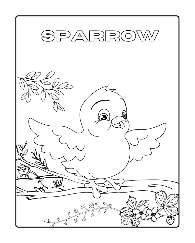 Birds Coloring and Activity Book - Etsy