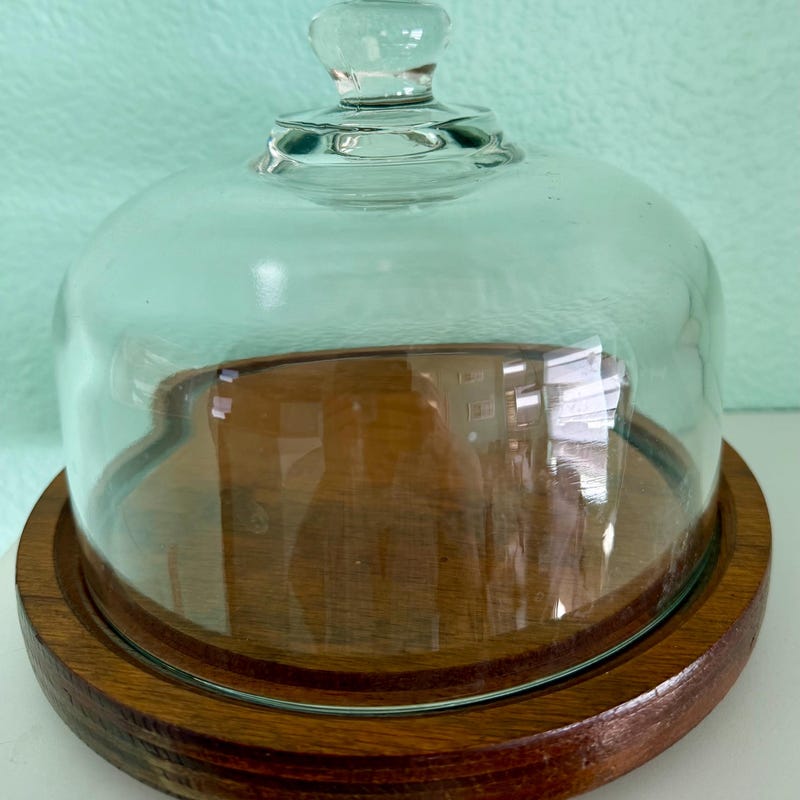 Cheese Cloche - Etsy