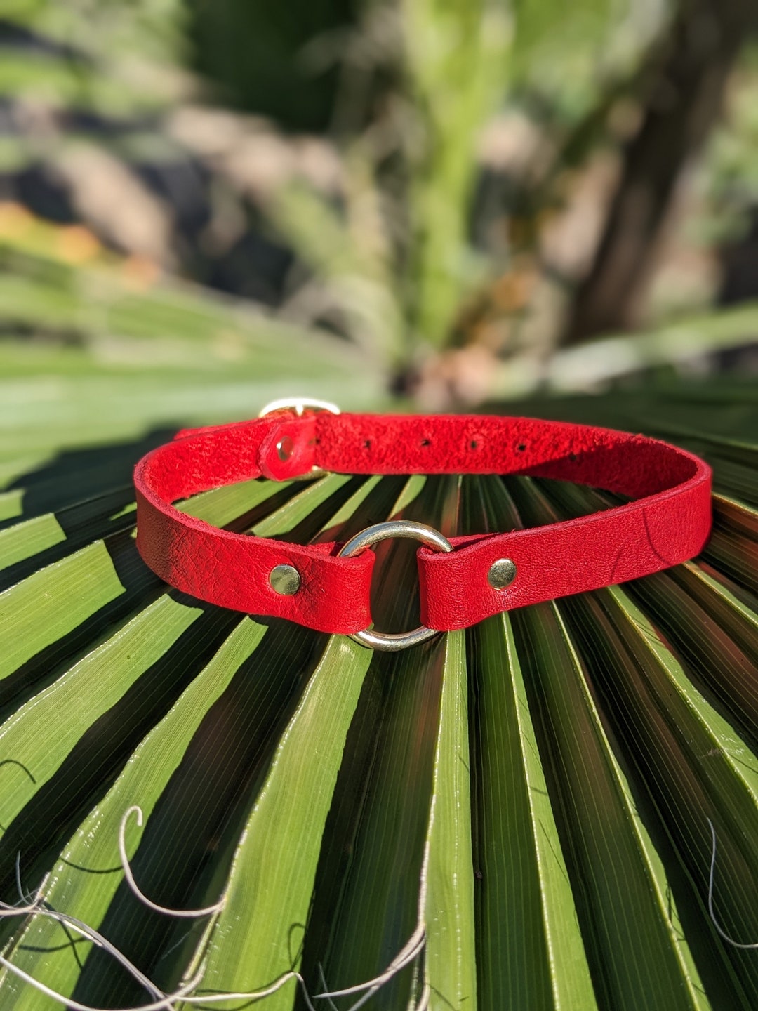 Dainty Leather Collar - Etsy