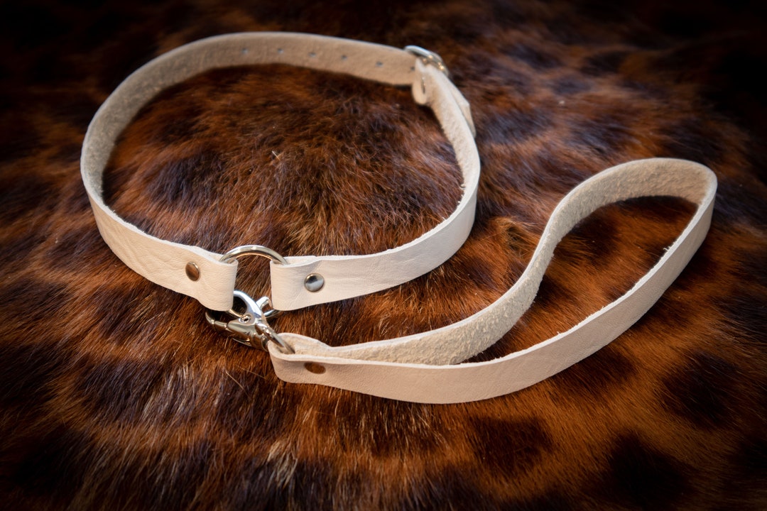 The Dainty Leather Collar With Leash - Etsy