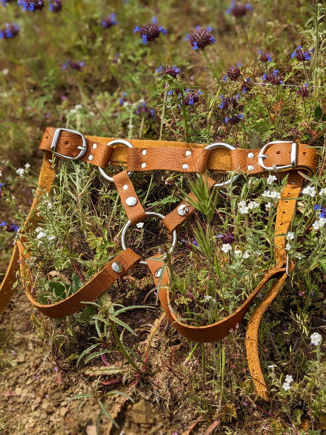 Split Gallo Strap on Harness - Etsy