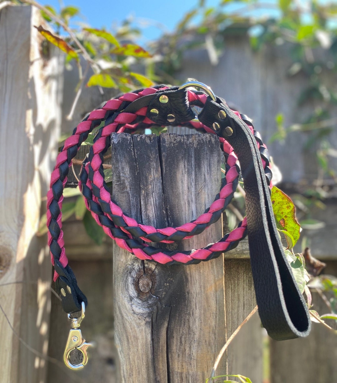 Multi-tonal Round Braid Leash - Etsy