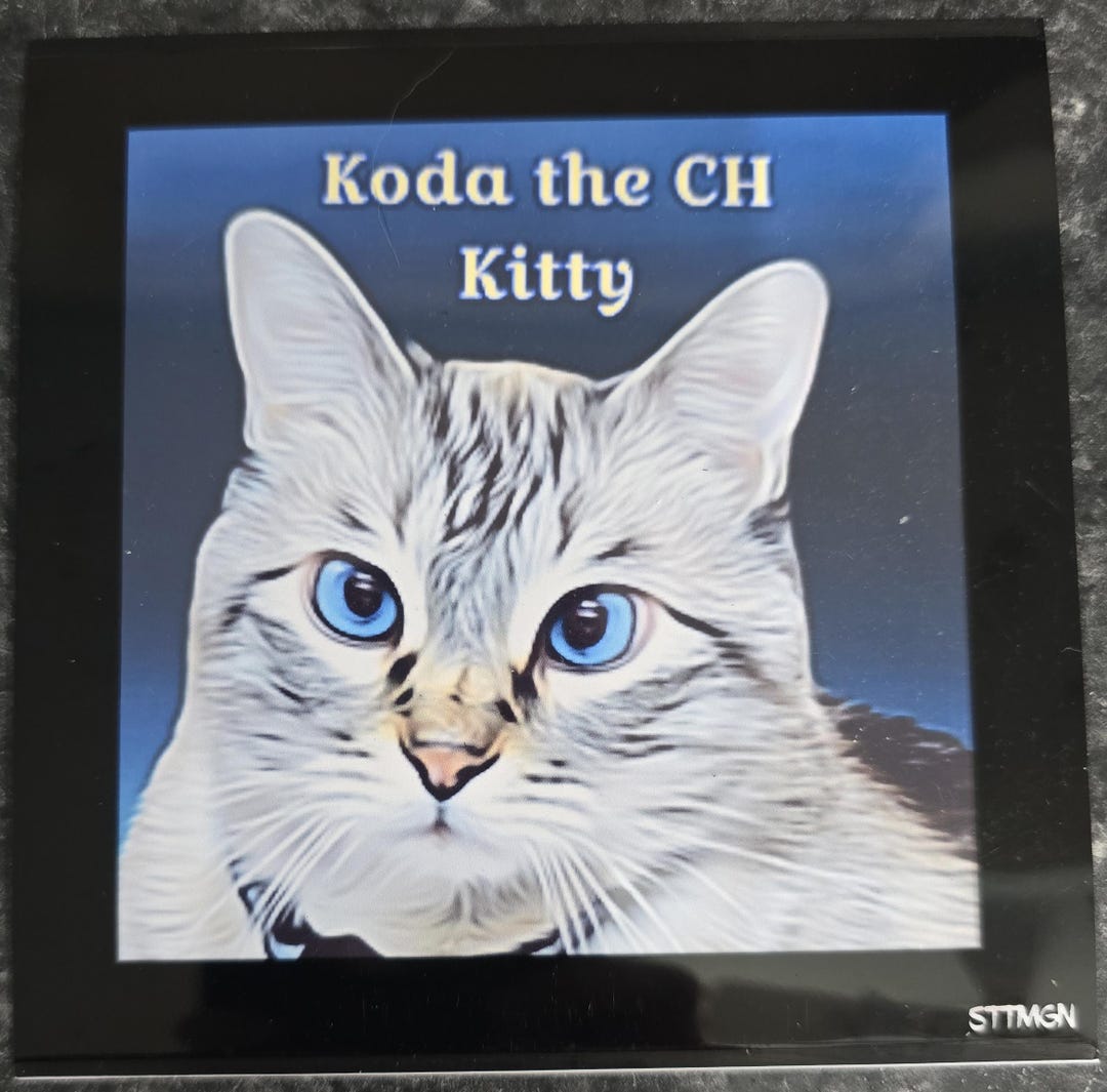 Koda the CH Kitty Oil Painting Photo Magnet - Etsy