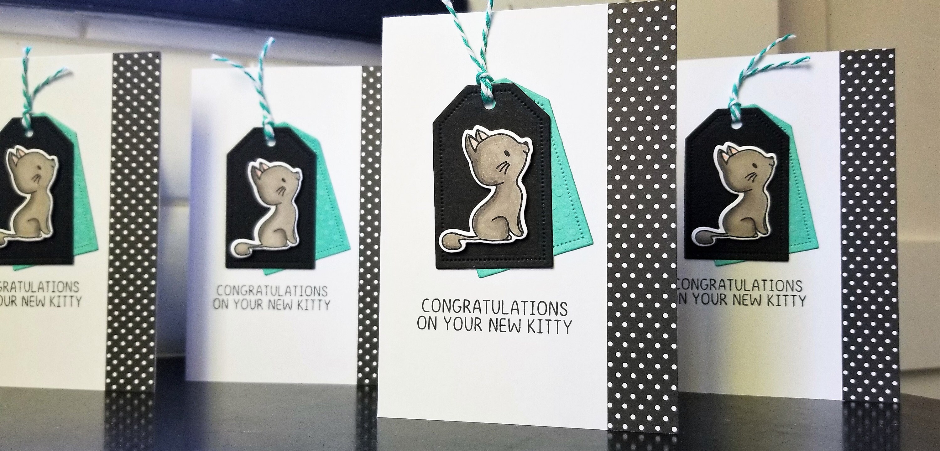 Congratulations on Your New Cat Card Kitty Lover Card New - Etsy
