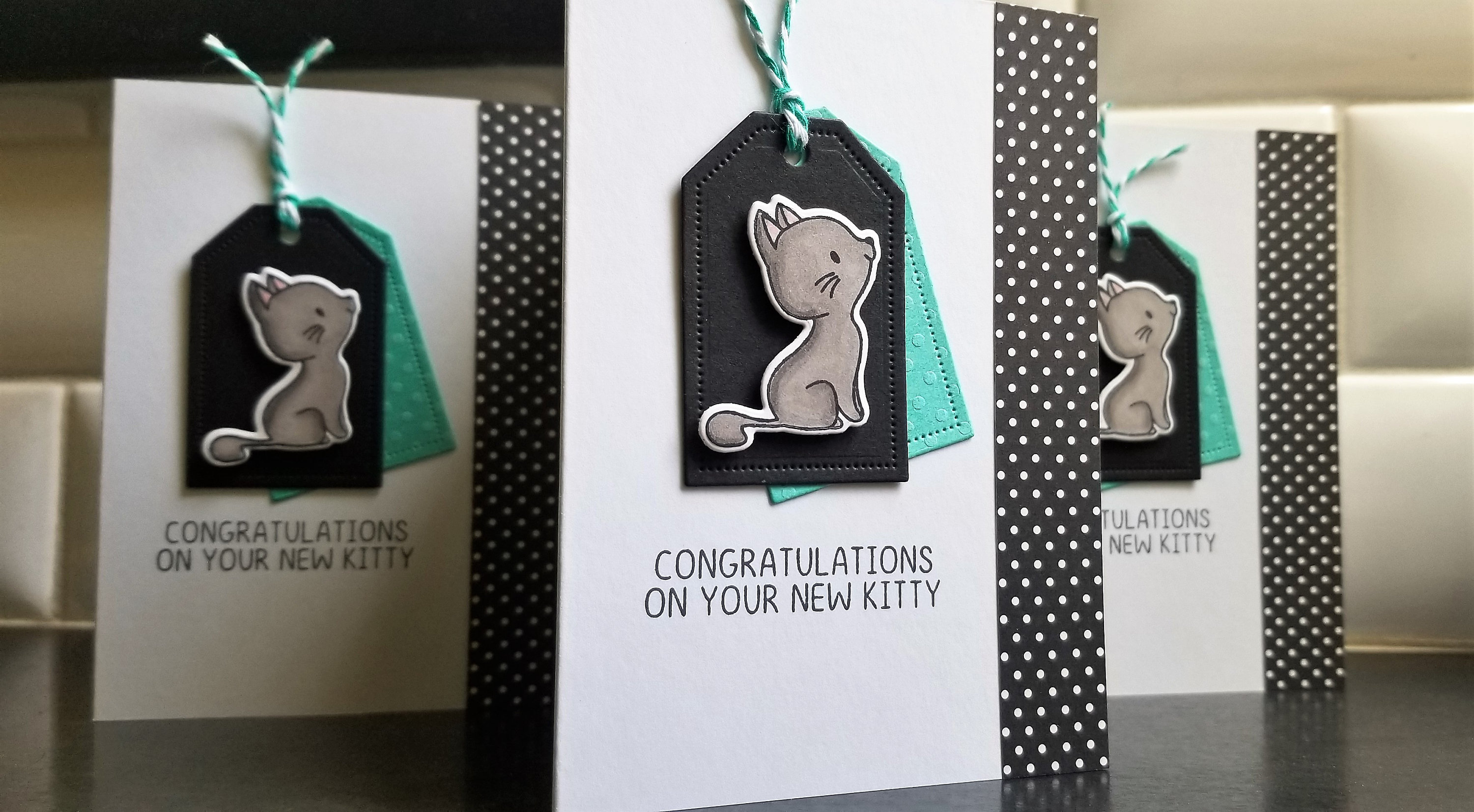 Congratulations on Your New Cat Card Kitty Lover Card New - Etsy