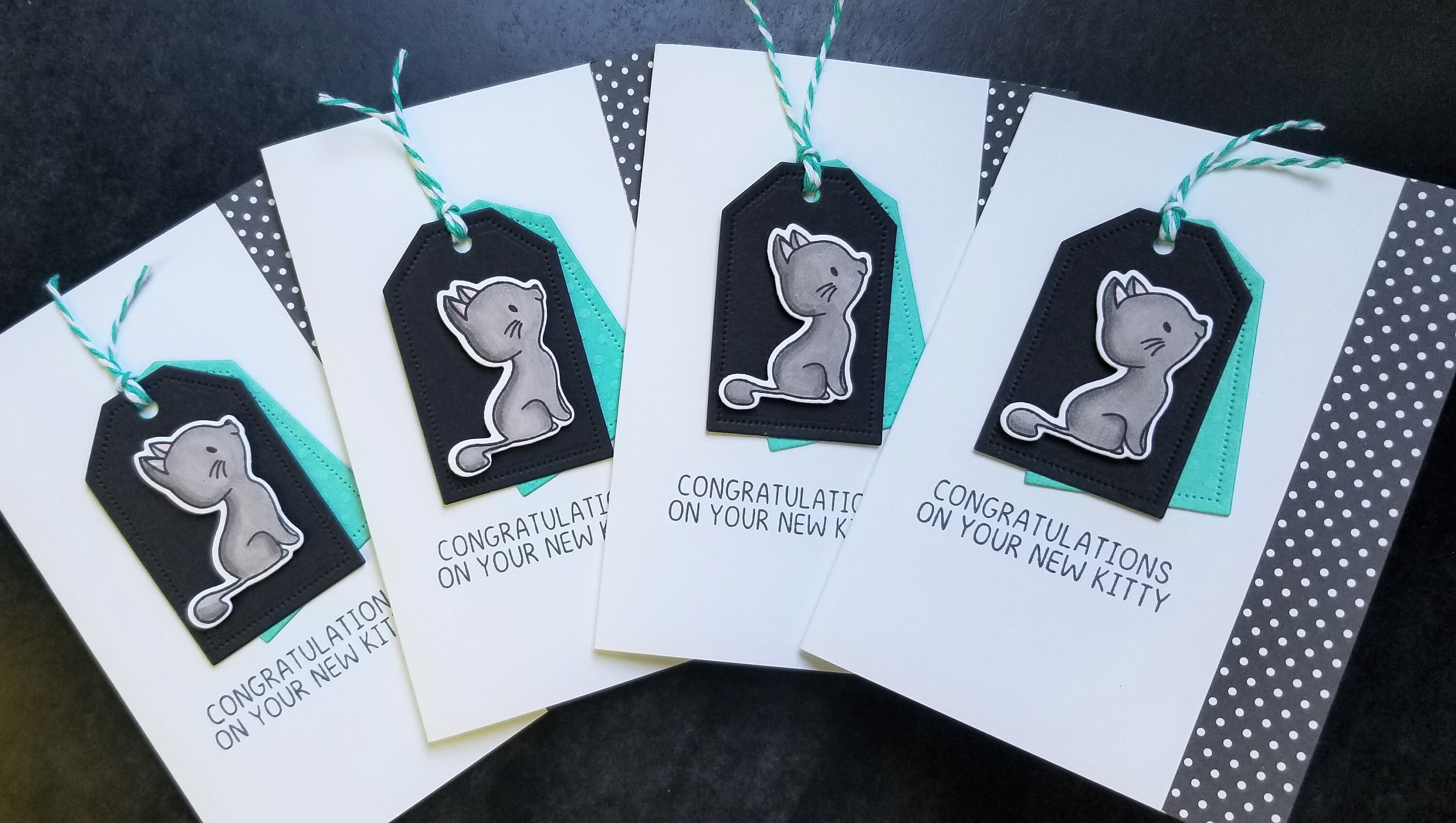 Congratulations on Your New Cat Card Kitty Lover Card New - Etsy