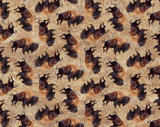 Naturescapes When Push Comes to Shove by Al Agnew From Northcott Cotton ...