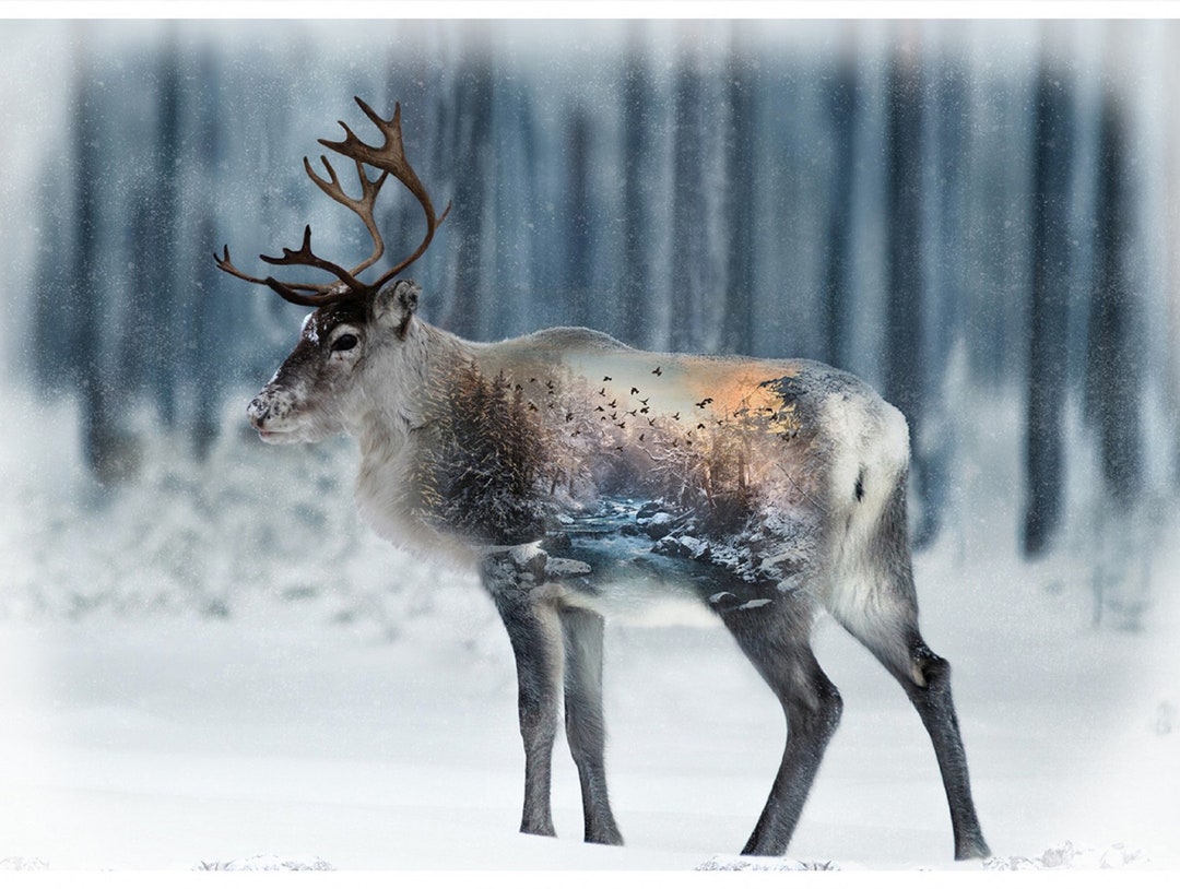 December Caribou Call of the Wild Digital Panel From Hoffman Fabrics ...