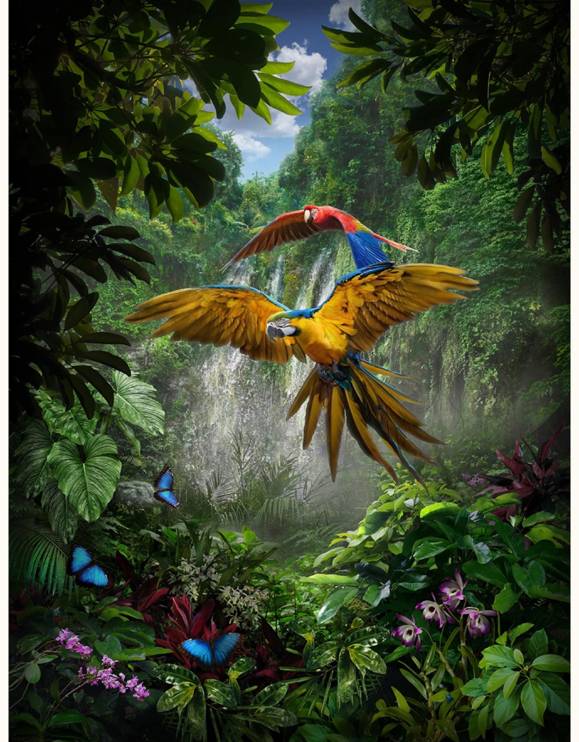 Call of the Wild Digital Panel Amazon Birds From Hoffman - Etsy