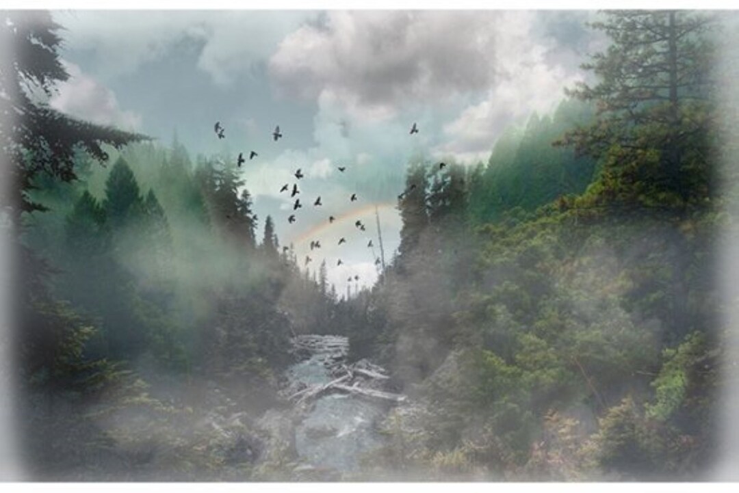Rainbow Misty Forest Call of the Wild Digital Panel From Hoffman ...