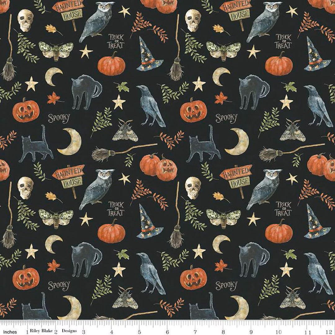 Trick or Treat Spooky by Lisa Audit Halloween Fabric From Riley Blake ...