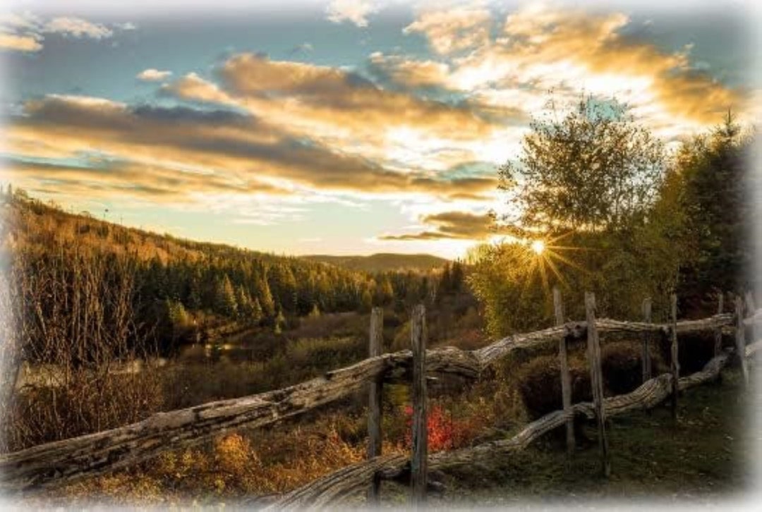 Rail Fence Sun up Sun Down Digital Panel From Hoffman Fabrics Cotton ...