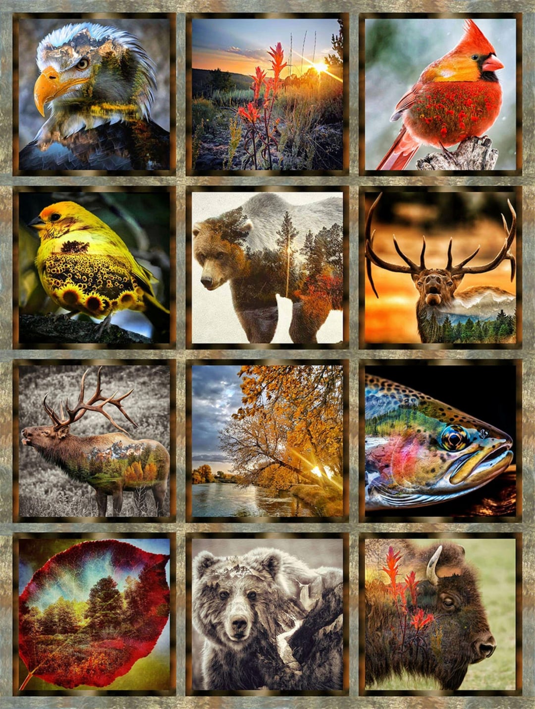 Nature Woven Panel by Travis Glasgow From Hoffman Fabrics Cotton Quilt ...