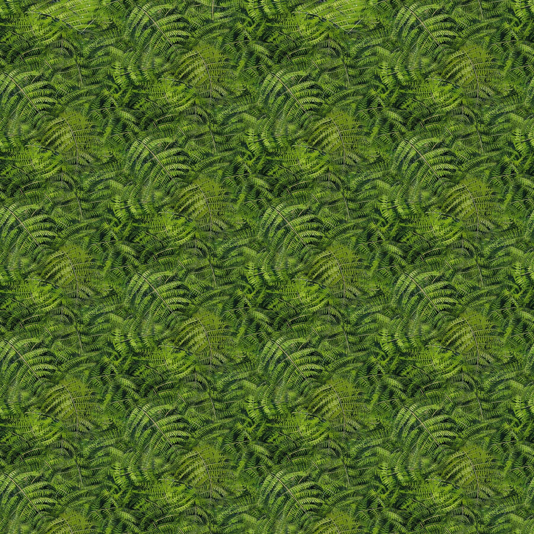 Naturescapes Fern by Deborah Edwards From Northcott Cotton Quilt Fabric ...