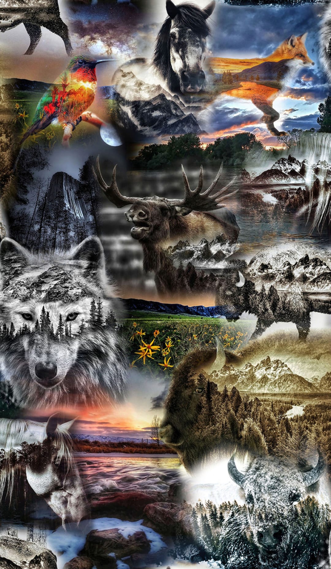 Wild Dawn Call of the Wild Digital Panel From Hoffman Fabrics Cotton ...