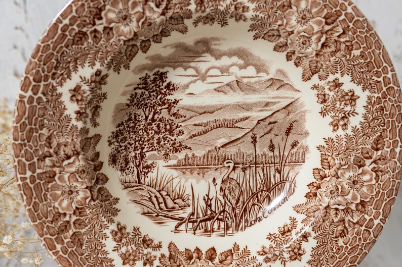 Vintage Brown Transferware Dinnerware Plates, Platter, EIT English ...