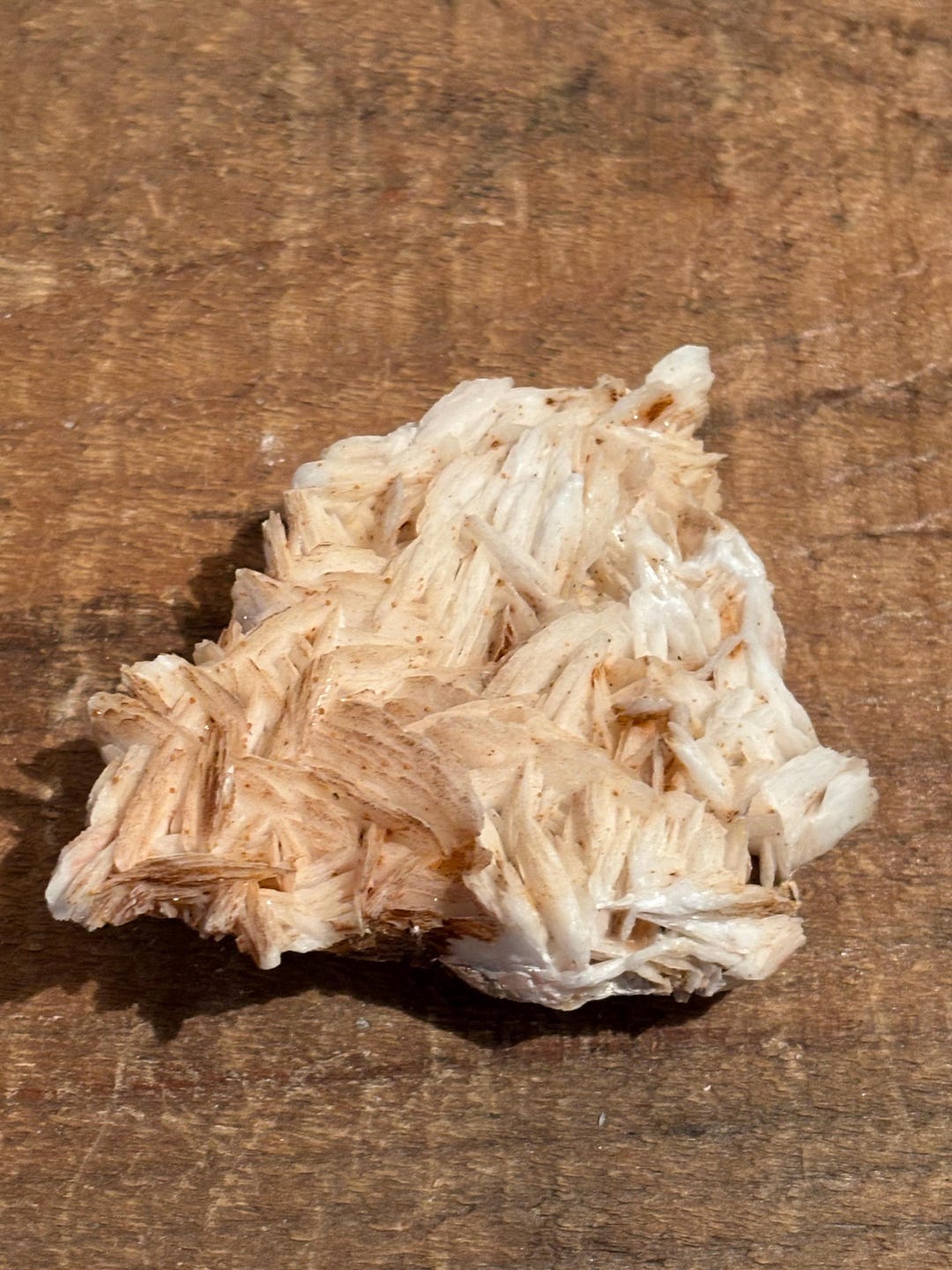 Selenite Blade Cluster • 12 Oz Gypsum Crystal • Sparkling Desert Rose ...