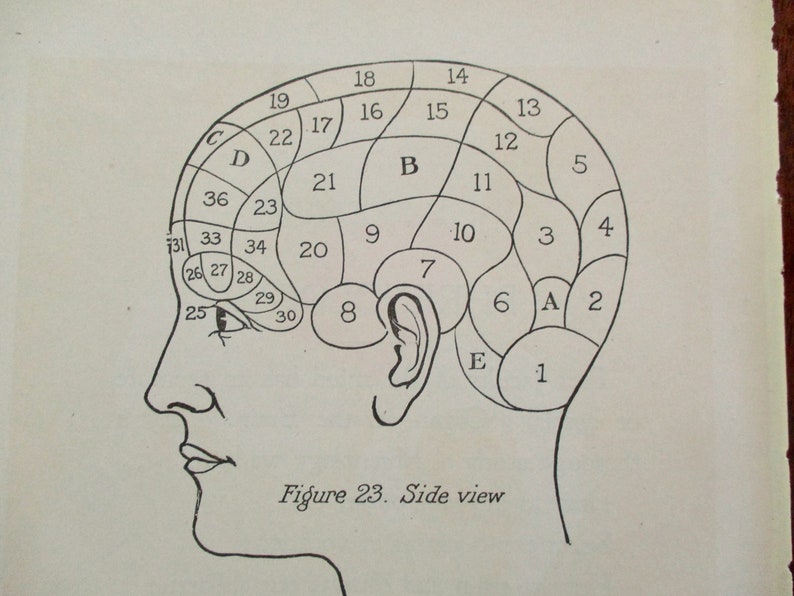 6 Original Pages 1905 MEDICAL CHART From Antique Medical - Etsy