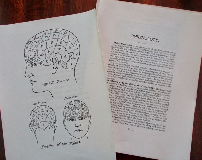 6 Original Pages 1905 MEDICAL CHART From Antique Medical - Etsy