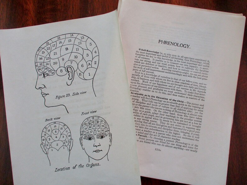 6 Original Pages 1905 MEDICAL CHART From Antique Medical - Etsy