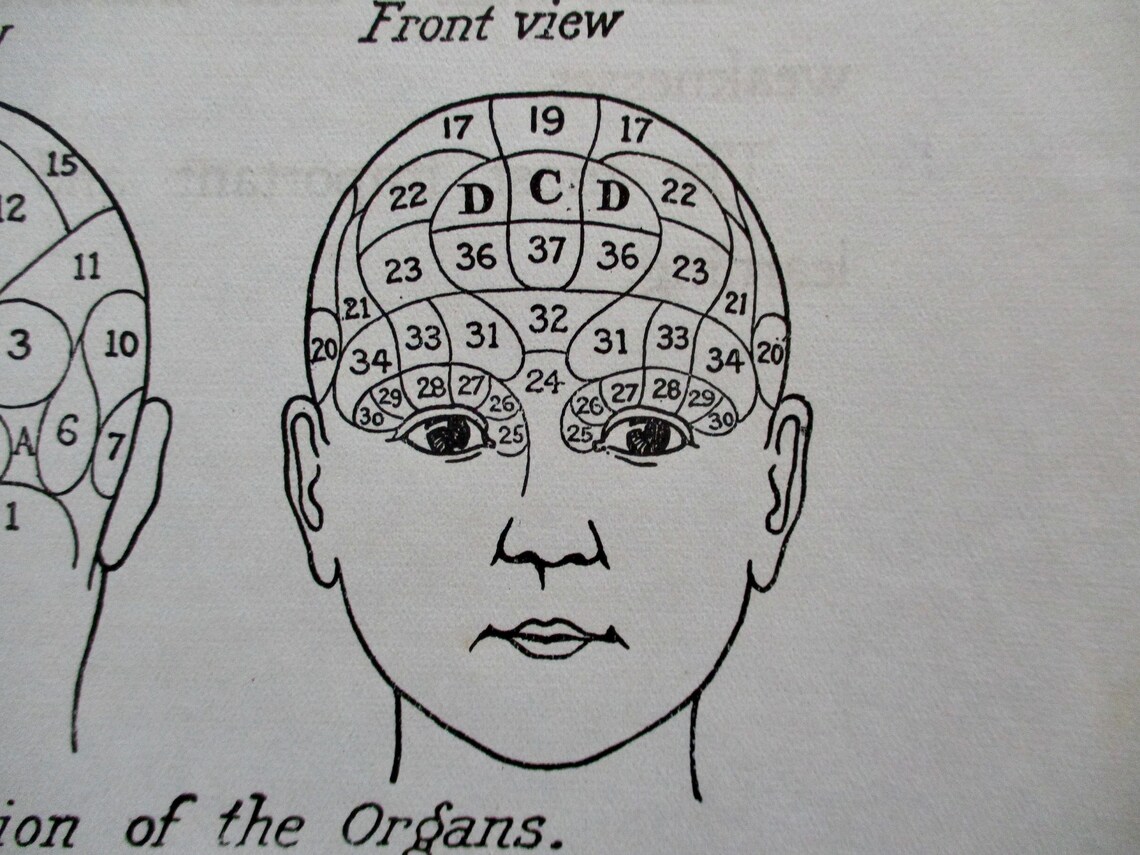 6 Original Pages 1905 MEDICAL CHART From Antique Medical - Etsy