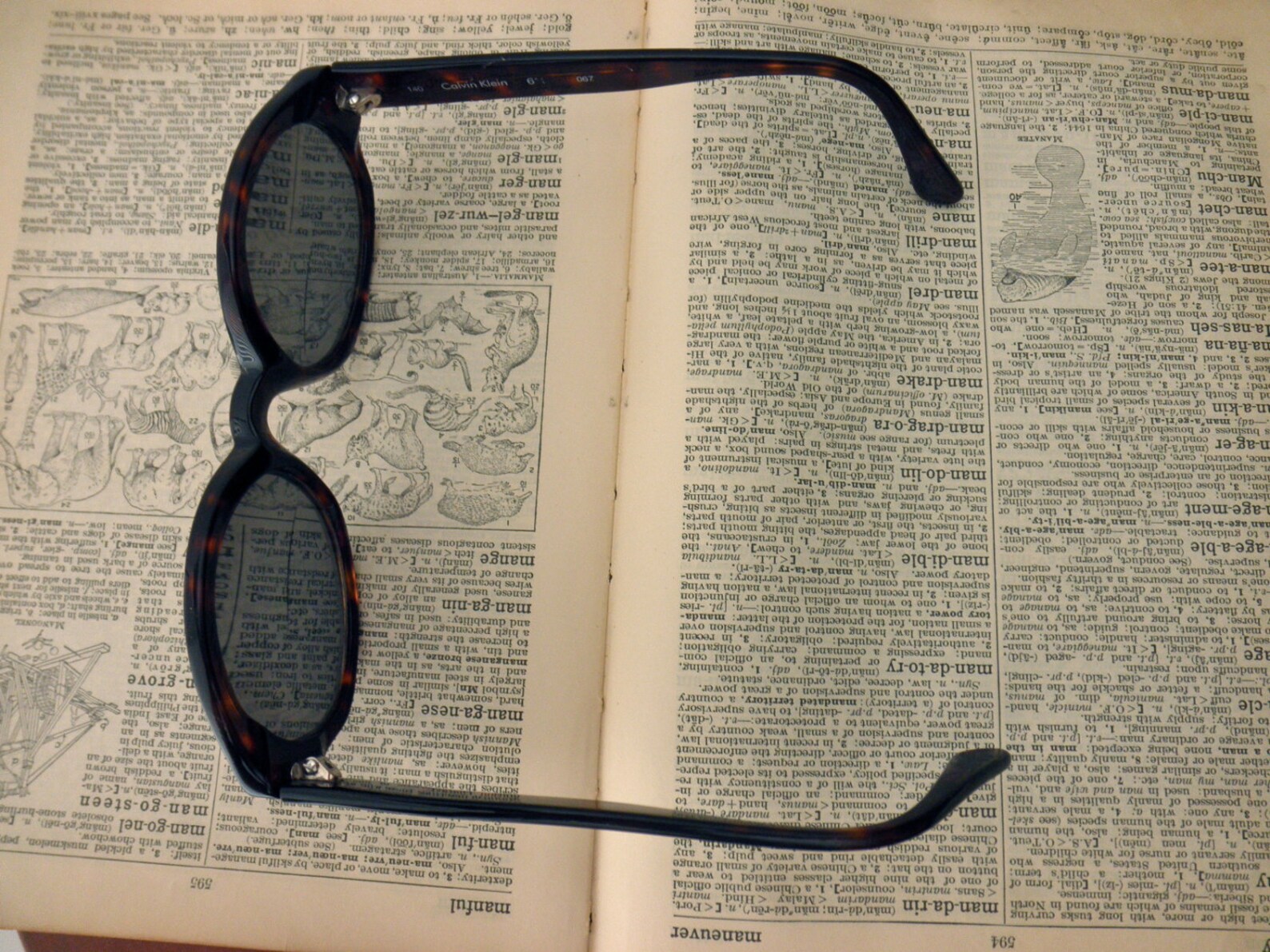 Vintage Calvin Klein Tortoise Shell Eyeglass Frames Designer - Etsy