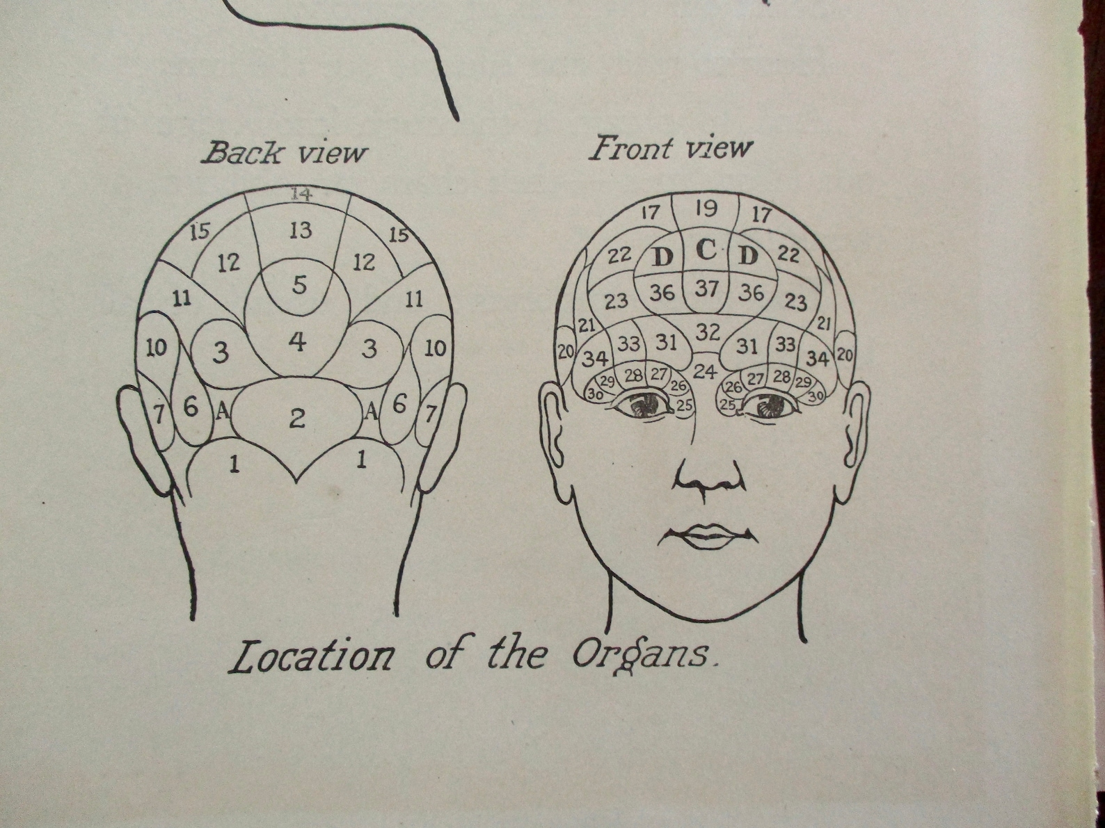 6 Original Pages 1905 MEDICAL CHART From Antique Medical - Etsy