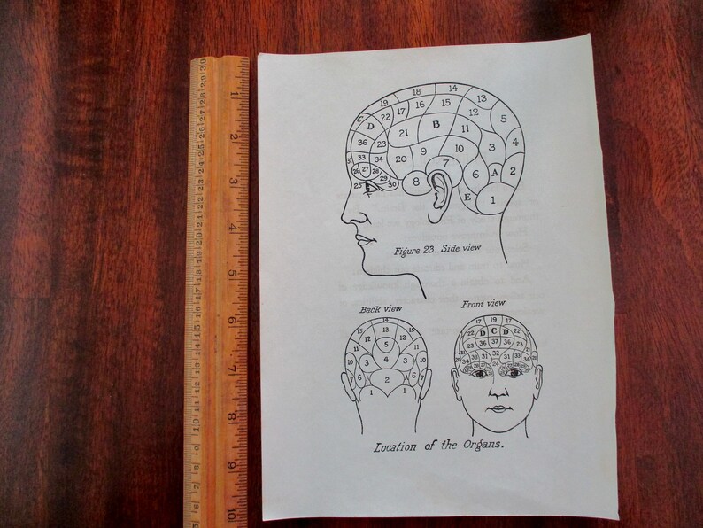 6 Original Pages 1905 MEDICAL CHART From Antique Medical - Etsy