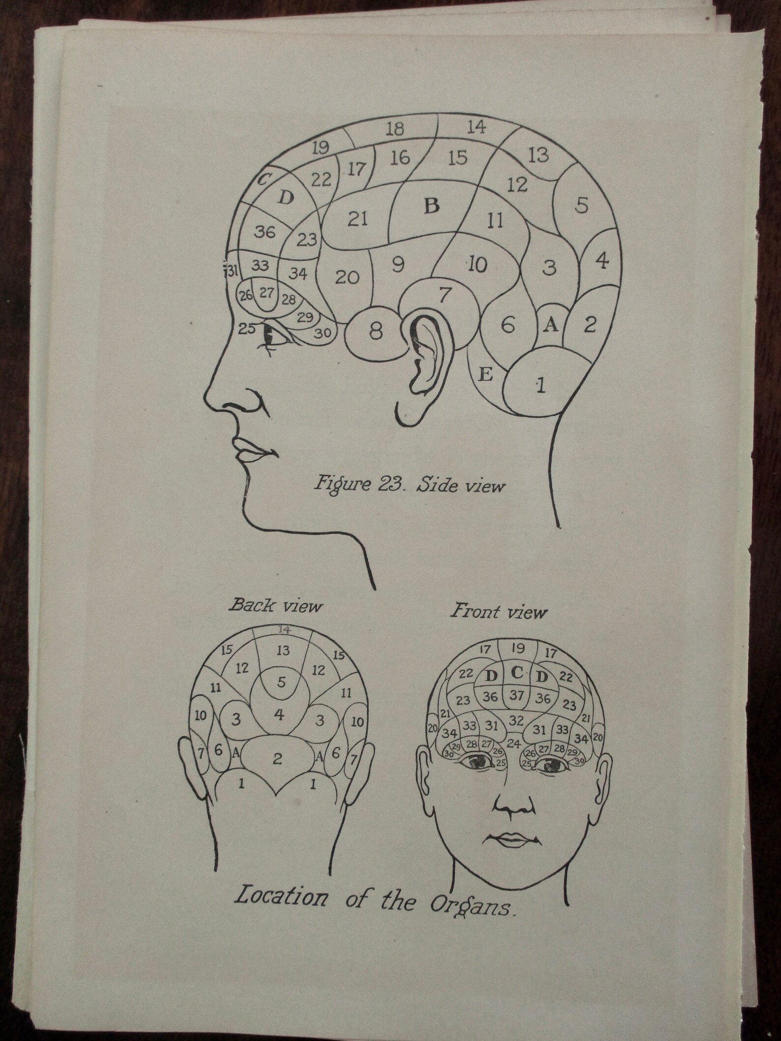 6 Original Pages 1905 MEDICAL CHART From Antique Medical - Etsy