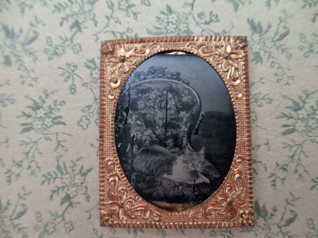 RARE Antique Miniature Gem Tintype Photo 1800s, Cat on a Chair - Etsy