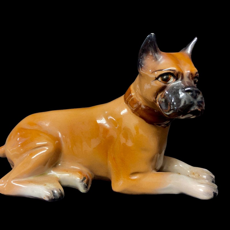 Boxer Dog Gift - 60+ Gift Ideas for 2025