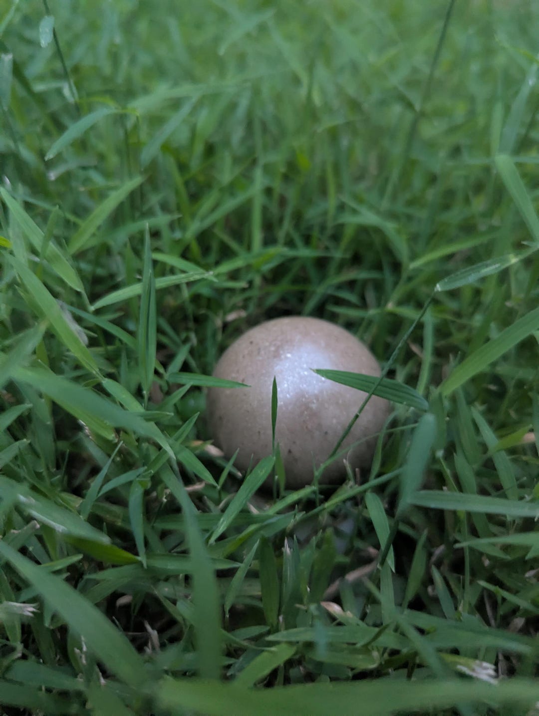 Dorodango Hand Made Warm Latte Color 1 LEFT GET SOON! - Etsy