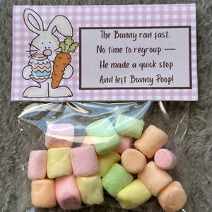Easter Bunny Poop Candy | Funny Easter Treat | Bunny Poop Gift | Easter ...
