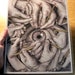 Drawn to See, Signed Print - Etsy