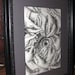 Drawn to See, Original Drawing Matted and Framed - Etsy