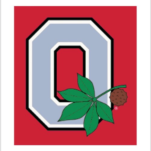 PDF Pattern Ohio State Buckeyes Cross Stitch Pattern - Etsy