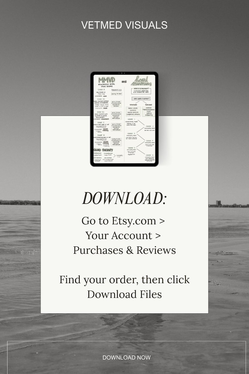 IRIS CKD Staging Chart | Feline & Canine Kidney Disease Reference | Vet ...