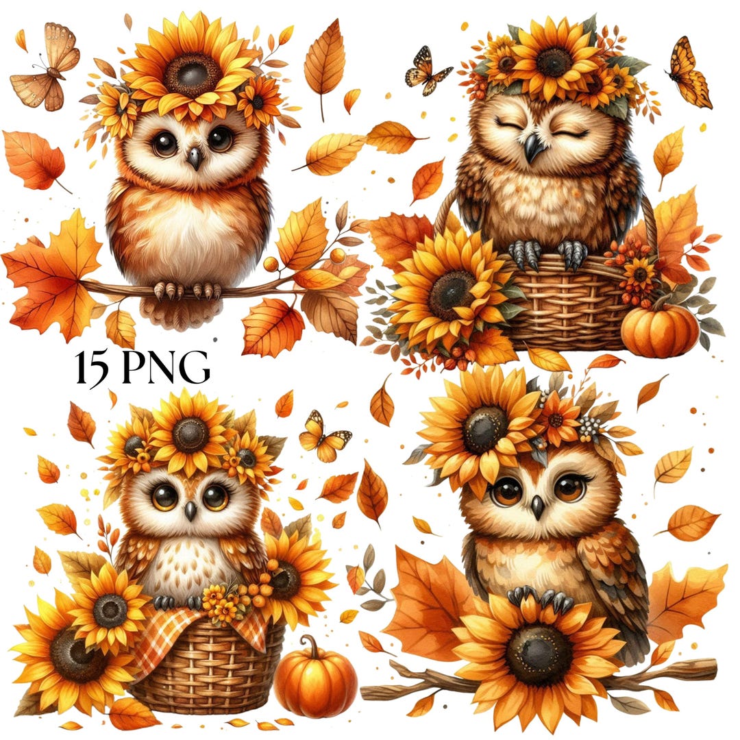 Autumn Owl Clipart Bundle, 15 PNG Cute Owls With Sunflowers & Fall ...