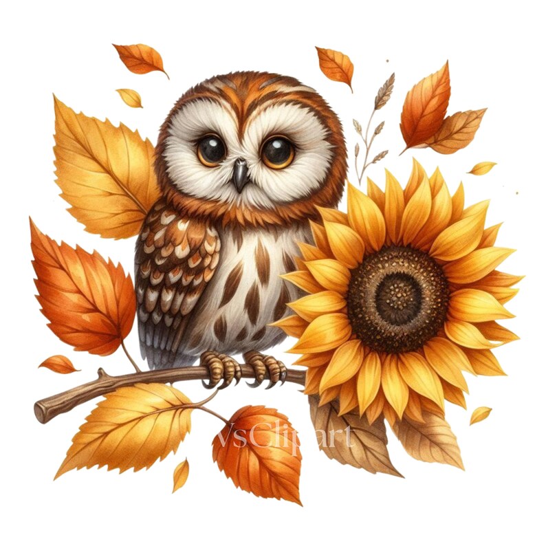 Autumn Owl Clipart Bundle, 15 PNG Cute Owls With Sunflowers & Fall ...