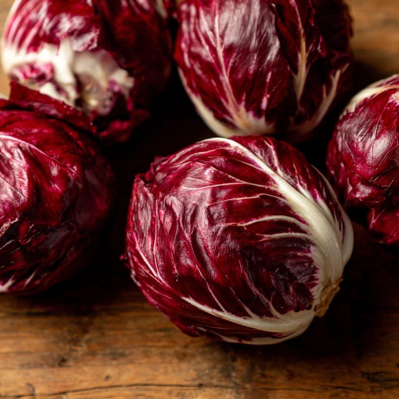 Radicchio Palla Rossa 100 Seeds | Classic Red Italian Chicory for ...
