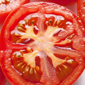 Brandywine Red Tomato 30 Seeds | Heirloom Beefsteak Tomatoes for Fresh ...