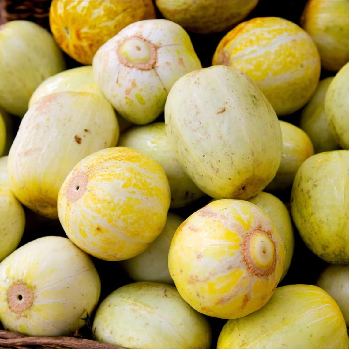 Lemon Cucumber 30 Seeds – Cucumis Sativus | Unique Round Yellow ...