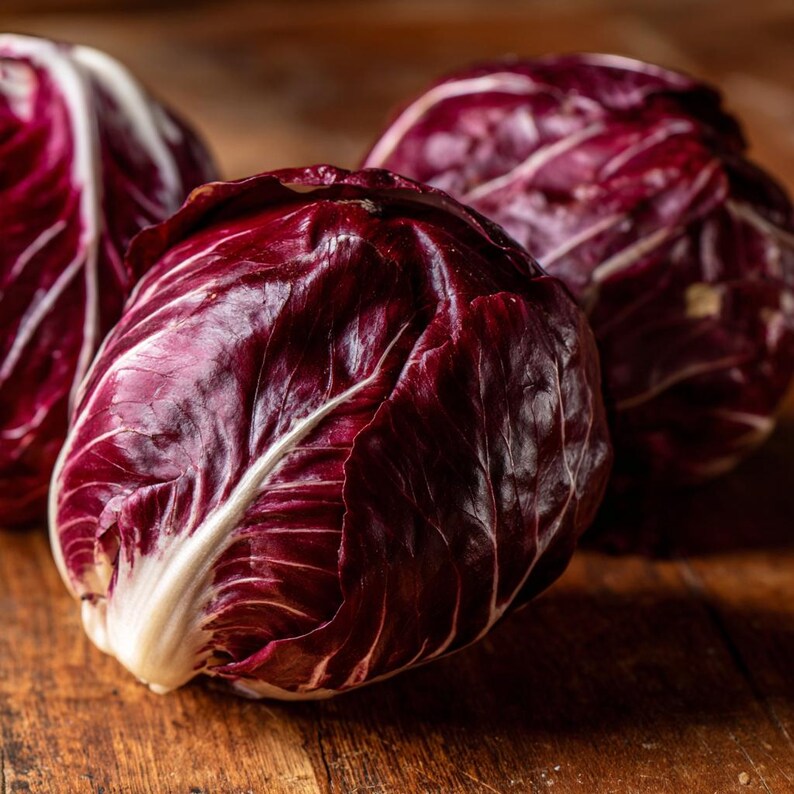 Radicchio Palla Rossa 100 Seeds | Classic Red Italian Chicory for ...