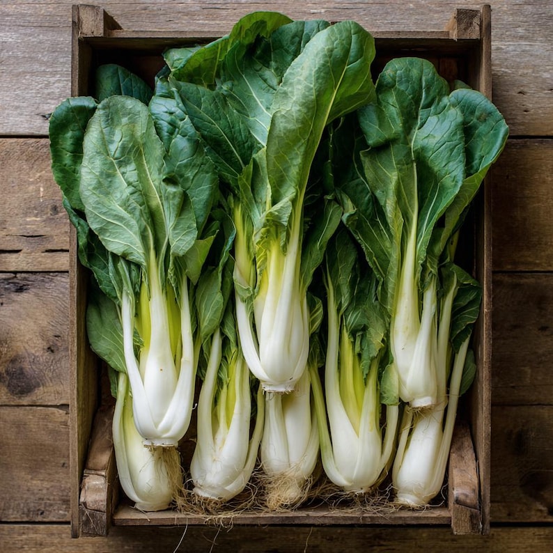 Pak Choi Chinese Cabbage White Stem 150 Seeds | Crisp, Tender Asian ...
